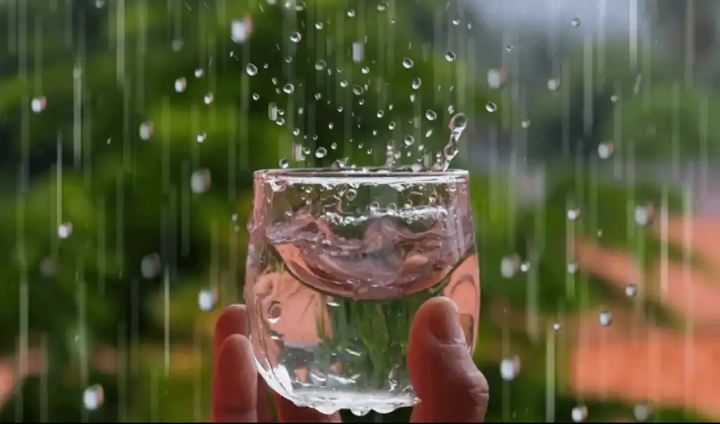 Is Rainwater Safe to Drink? Here’s an Explanation